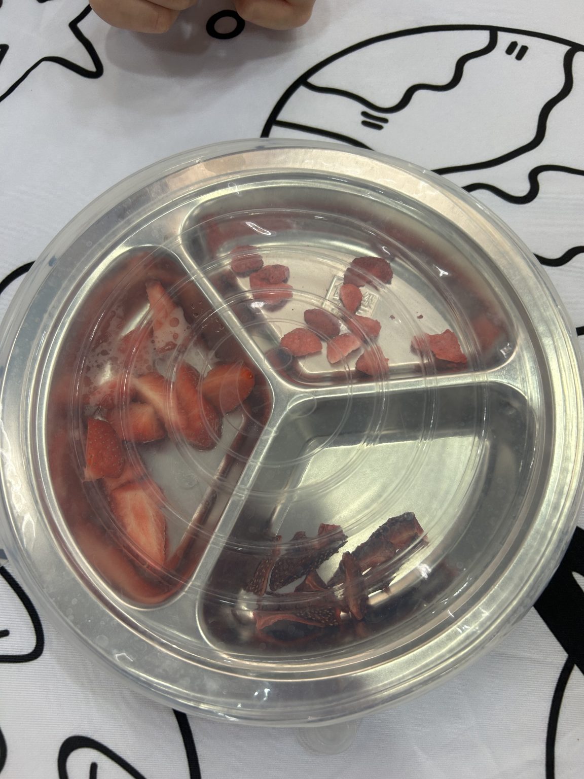 Life Science Centre Visit - Endeavour Academies Trust